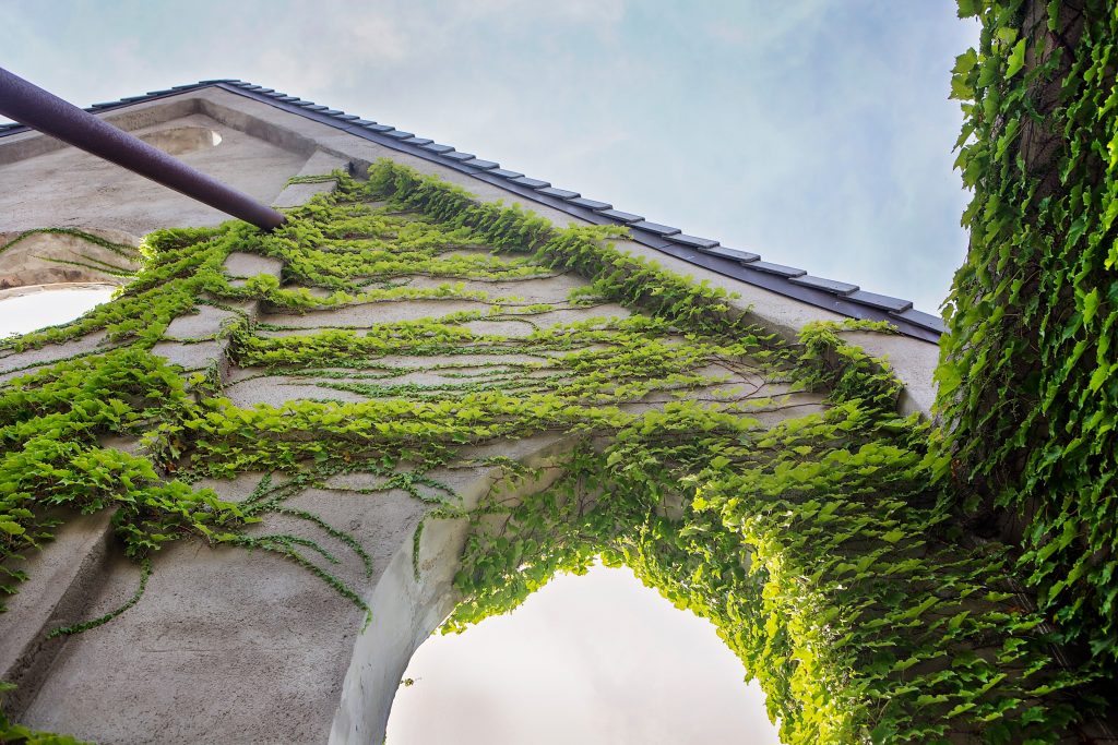 About the District - Grand Center Arts District