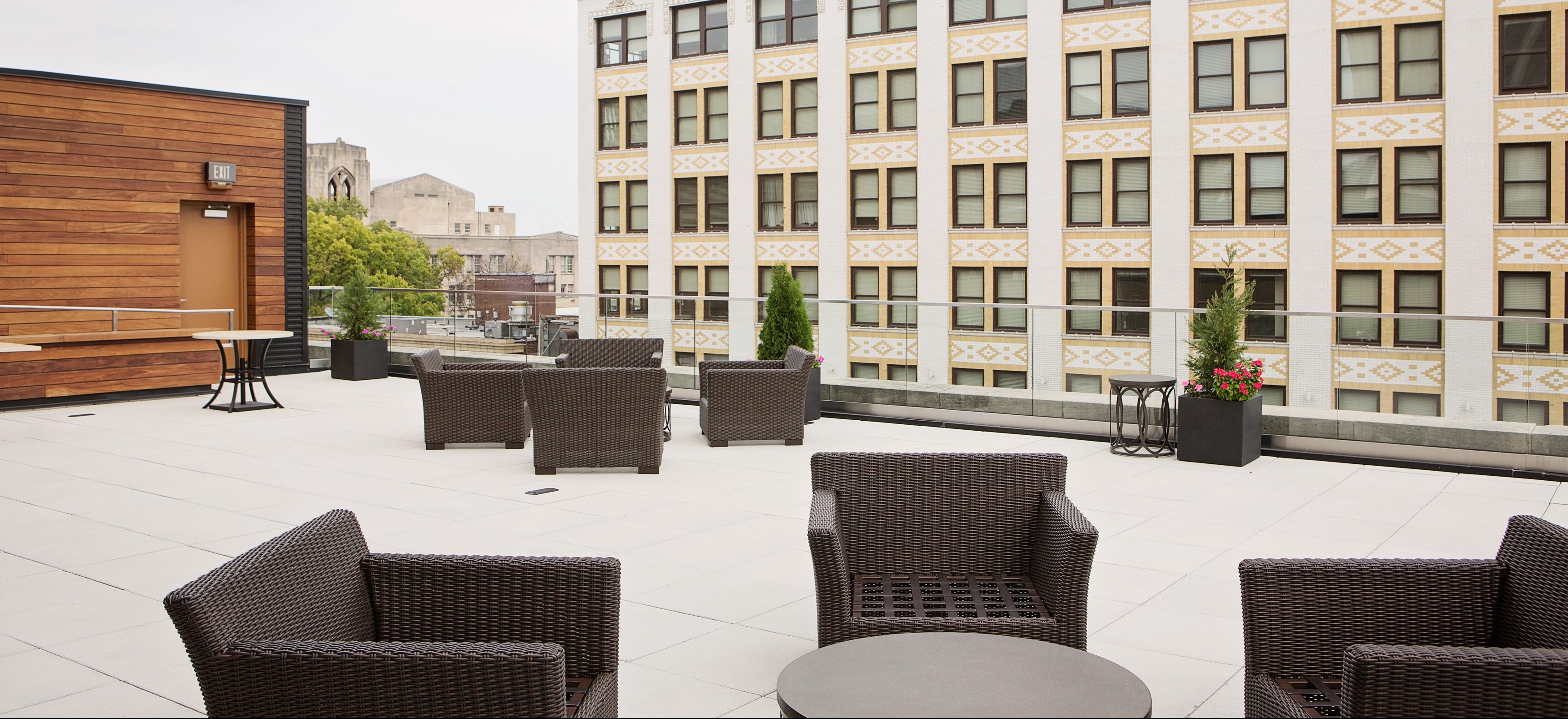 Meet the year Anew - Grand Center Arts District