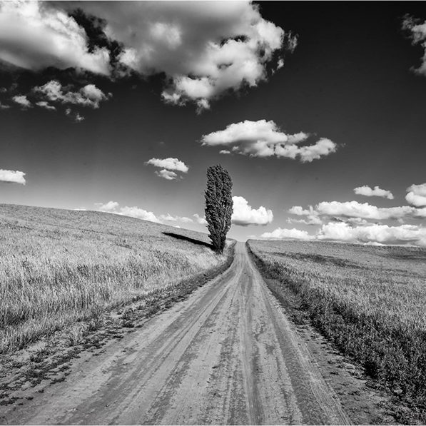 Bob Rickert: Landscape Photography - Grand Center Arts District