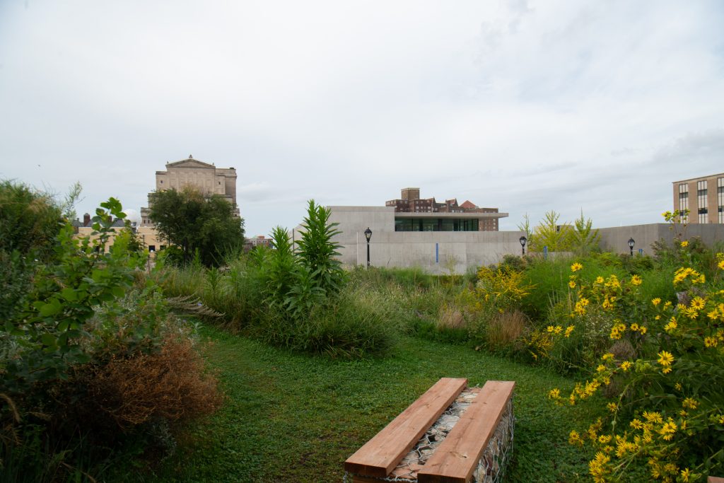 Public Art Tour! - Grand Center Arts District