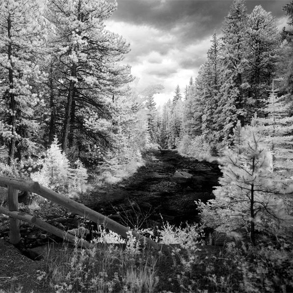 Infrared Photography and Beyond, with Matthew Piper - Grand Center Arts ...