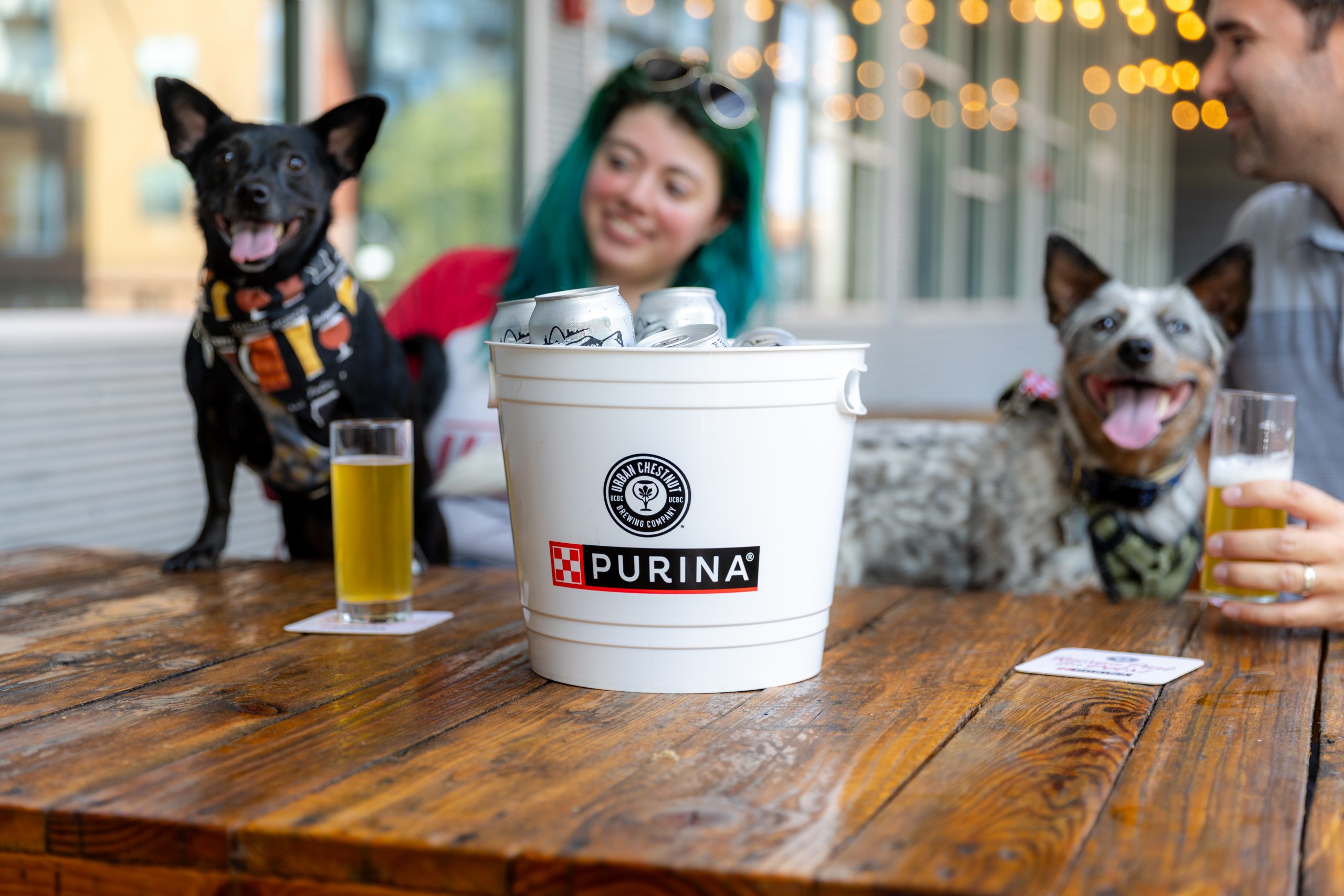 Raise a Pint for Pets Happy Hour - Grand Center Arts District